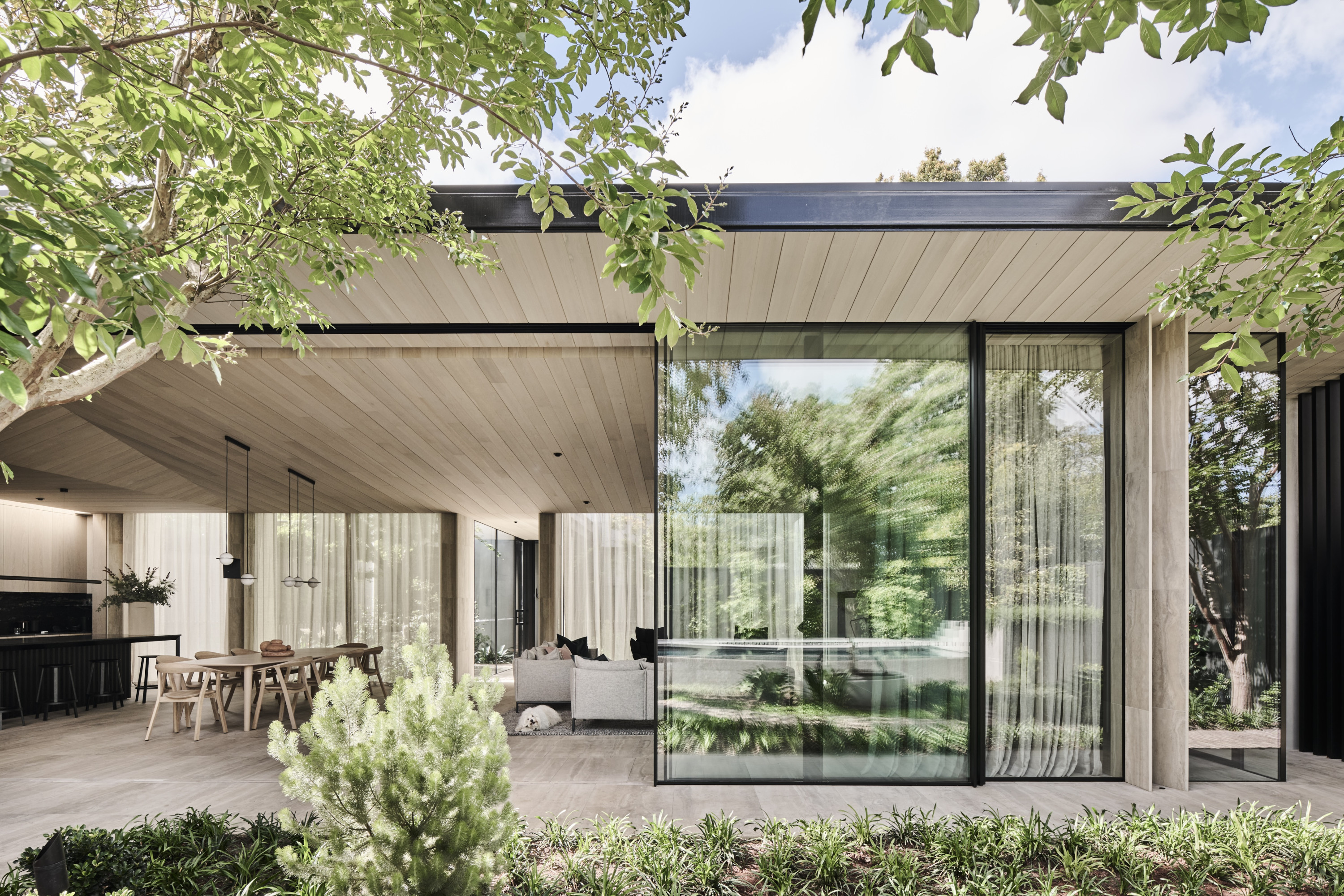 Vitrocsa Australia : Company